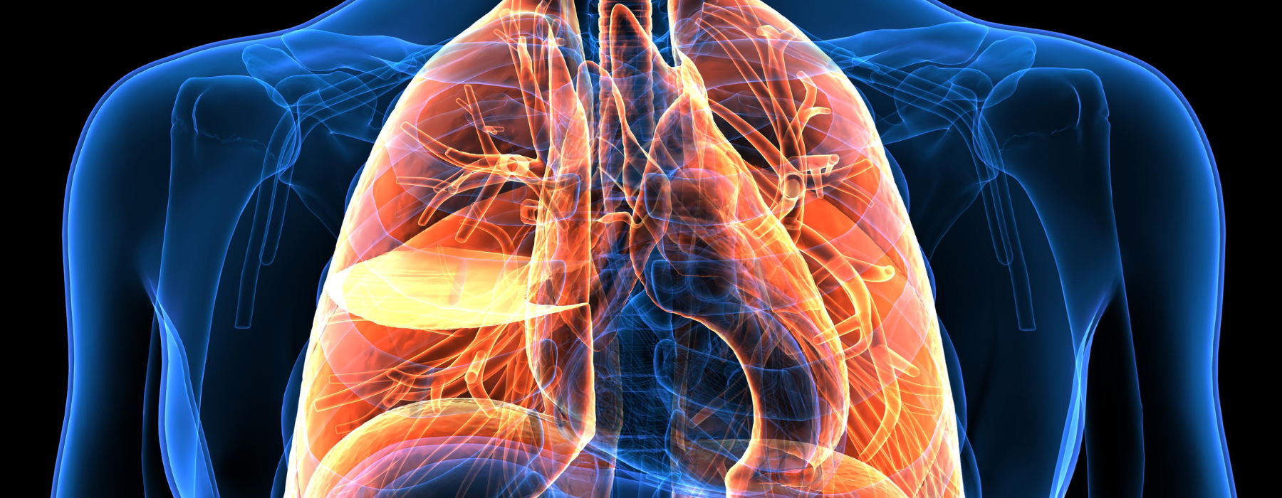 Workplace Respiratory Health & the role of Occupational Health Services
